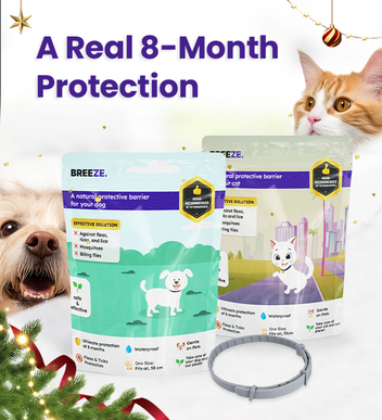 ftc-cats-lp – BREEZE