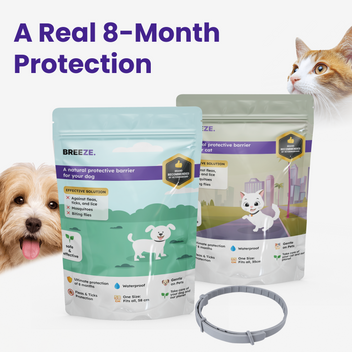 ftc-cats-lp – BREEZE