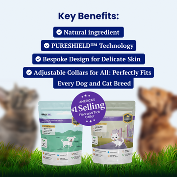 ftc-cats-lp – BREEZE