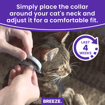 1x Breeze Cat Calming Collar – BREEZE