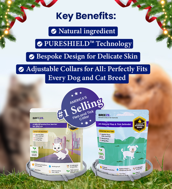 ftc-cats-lp – BREEZE