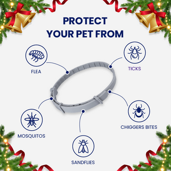 1X Breeze PURESHIELD™ Cat Collar – BREEZE