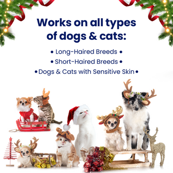 ftc-cats-lp – BREEZE