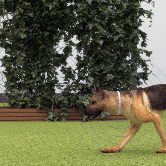 ftc-cats-lp – BREEZE