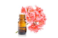 ftc-cats-lp – BREEZE